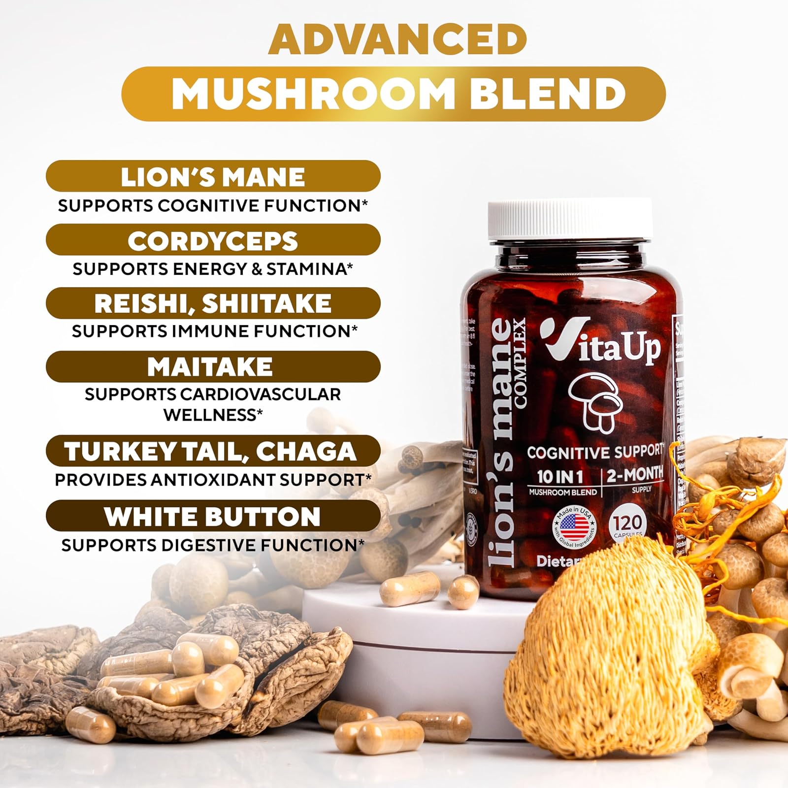 natural mushroom blends for energy