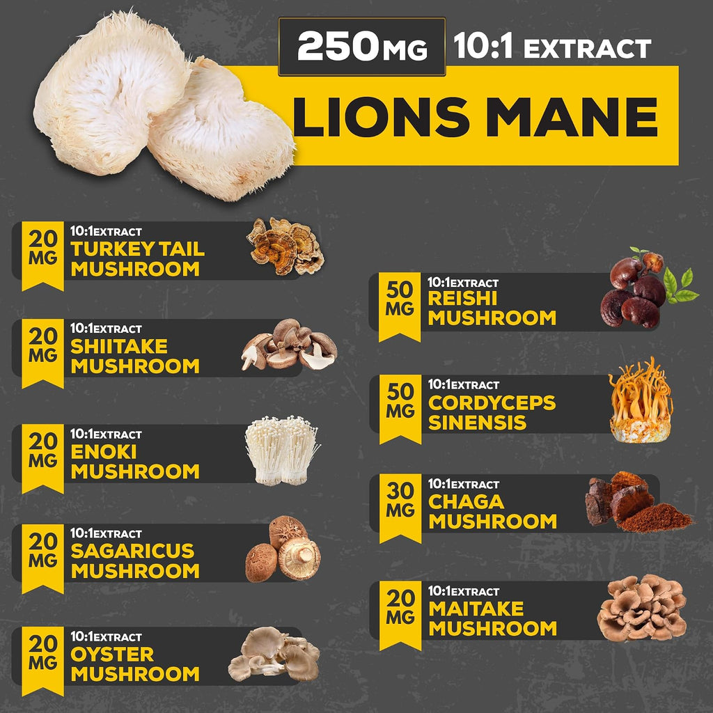 Natural mushroom blends for overall wellness