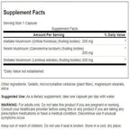 natural mushroom blends for wellness