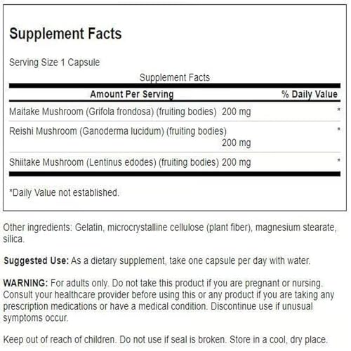 natural mushroom blends for wellness