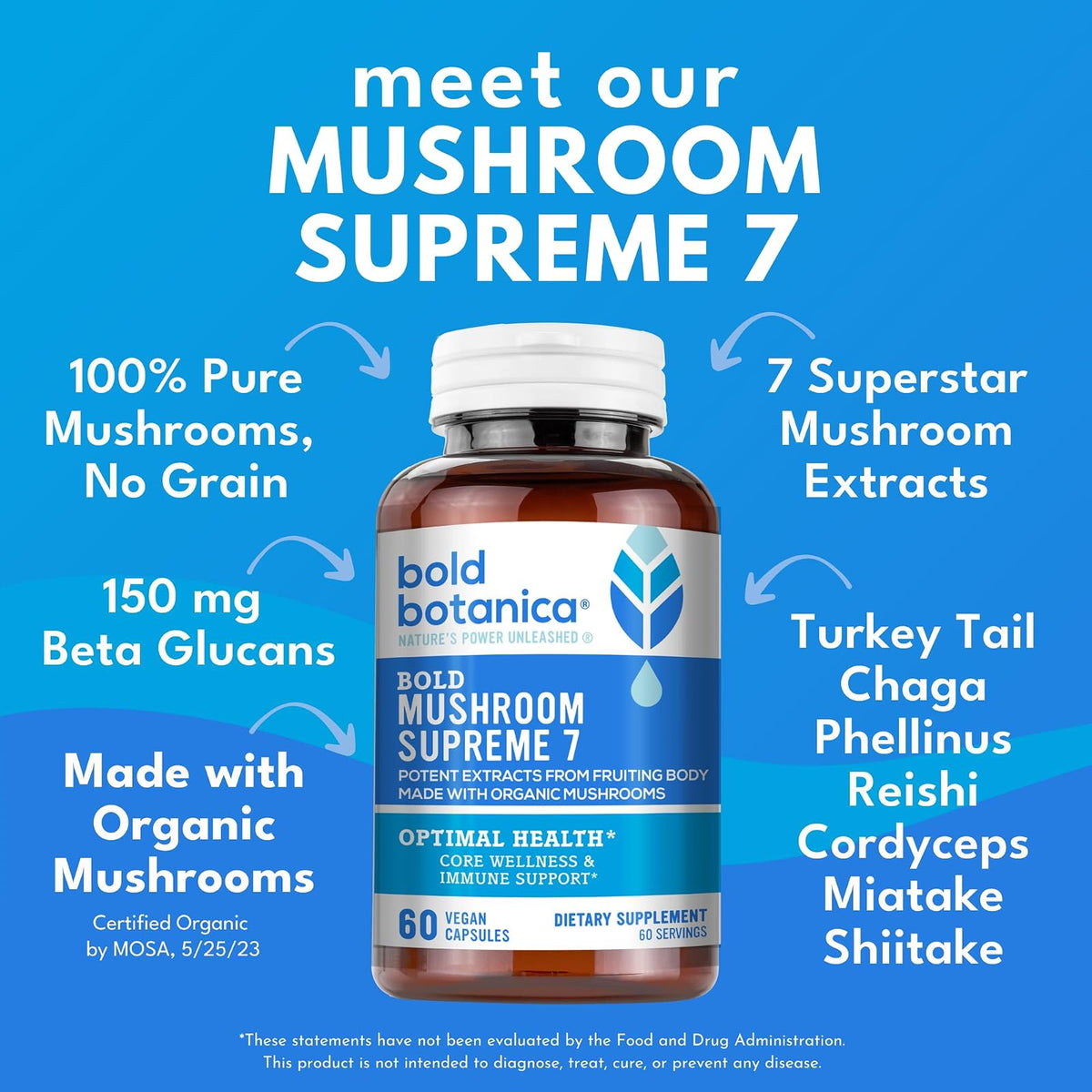 natural mushroom blends for wellness