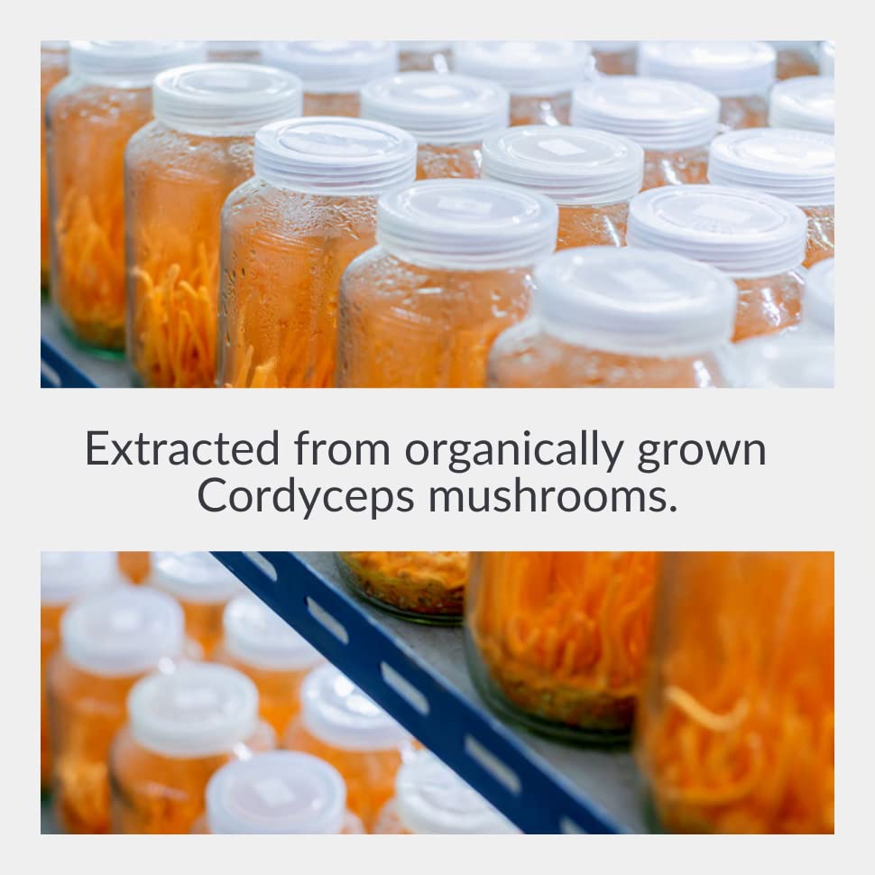 Natural mushroom capsules for health