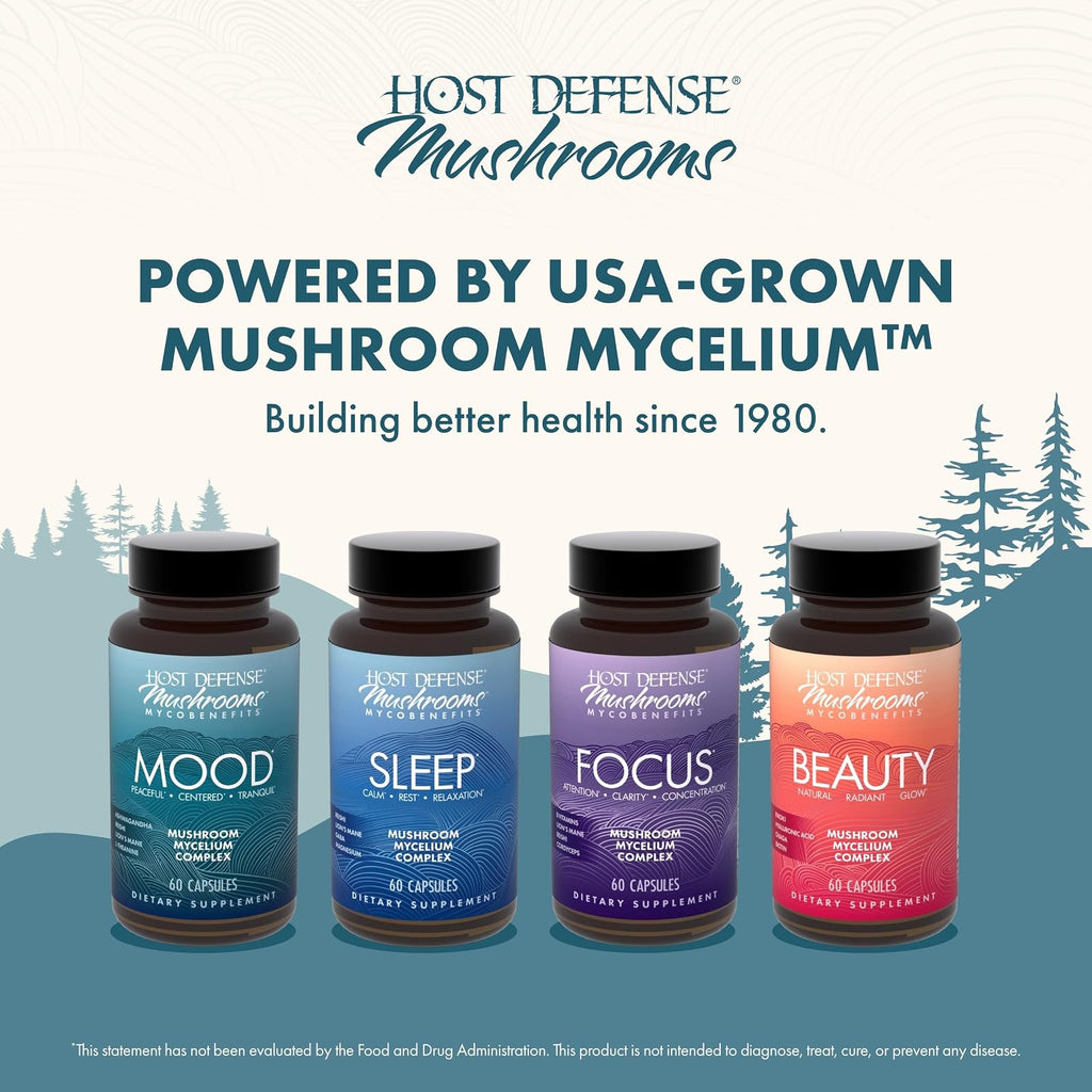 Natural mushroom coffee alternative
