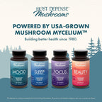 Natural mushroom coffee alternative
