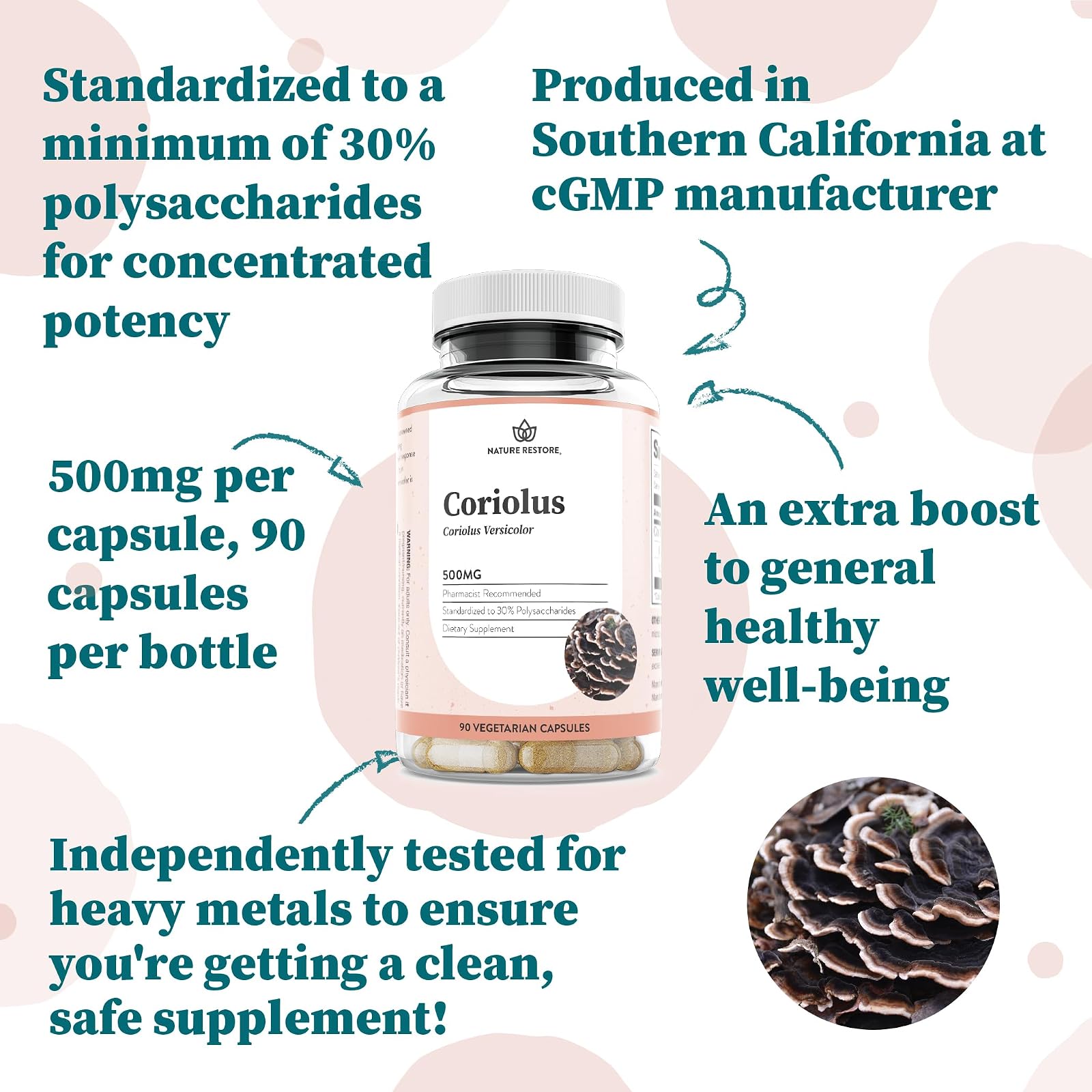 natural mushroom complex capsules