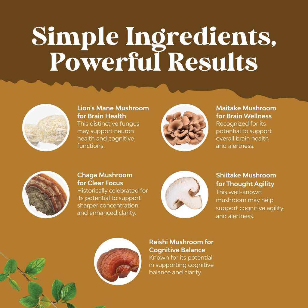 Natural mushroom complex supplement capsules