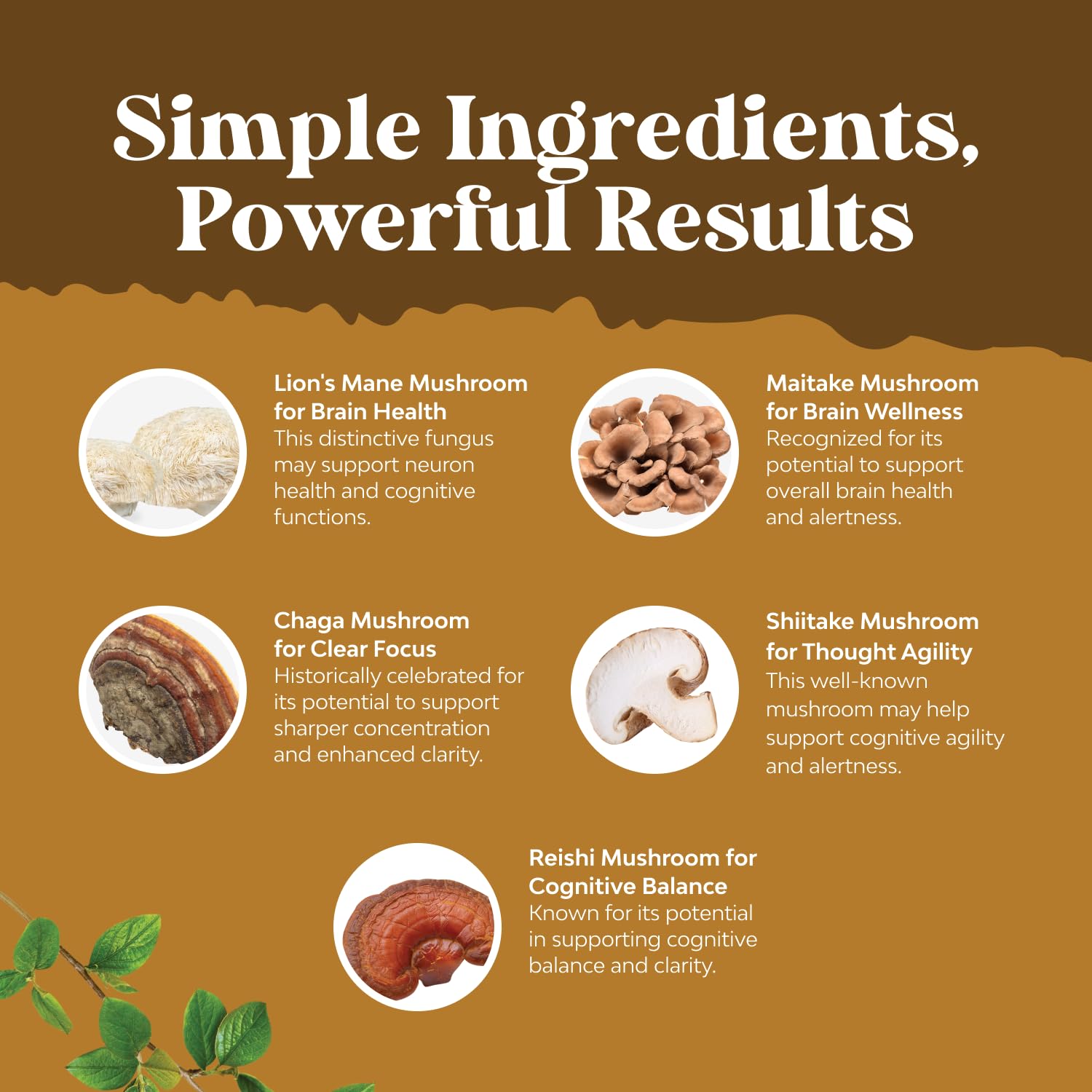 Natural mushroom complex supplement capsules
