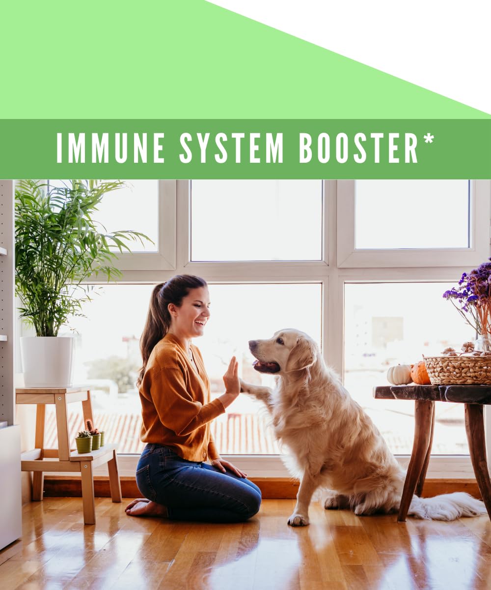 natural mushroom extract for vitality