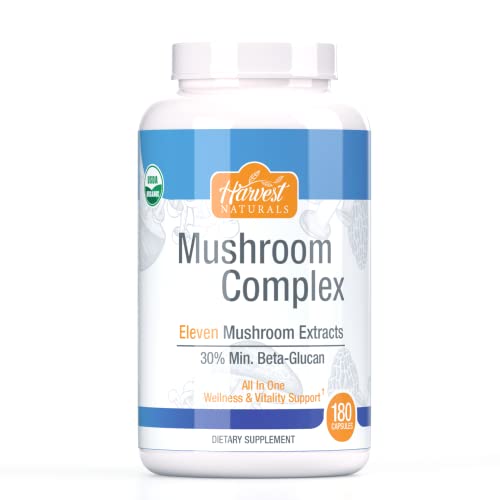Natural mushroom extract for wellness