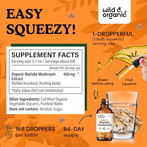 Natural mushroom extract for wellness