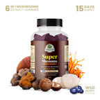 natural mushroom gummies for wellness