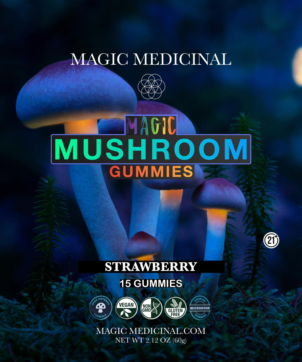 natural mushroom gummies for wellness