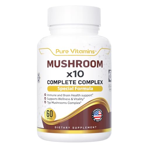 Natural mushroom powder for focus