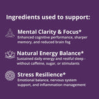 natural mushroom powder for immune support
