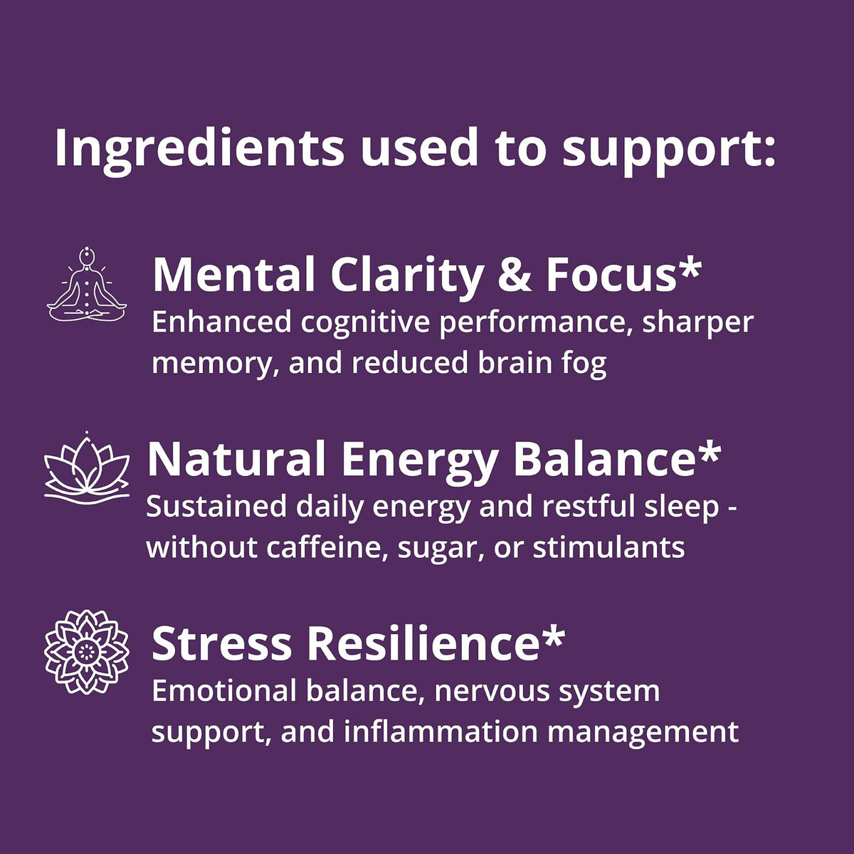 natural mushroom powder for immune support