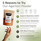 natural mushroom powder for smoothies