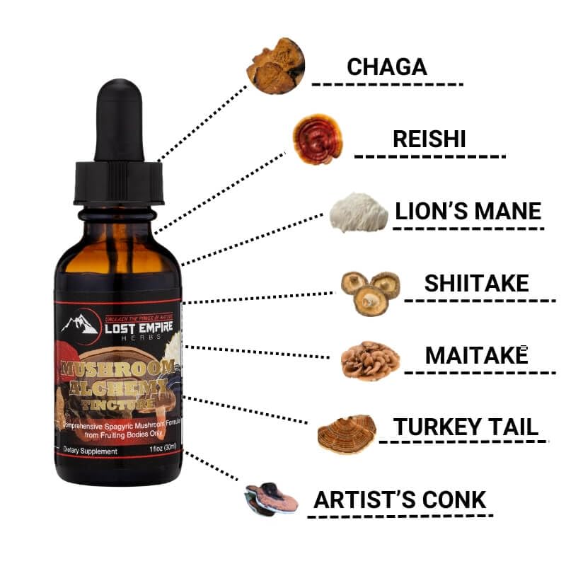 Natural mushroom supplement benefits