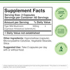natural mushroom supplement capsules