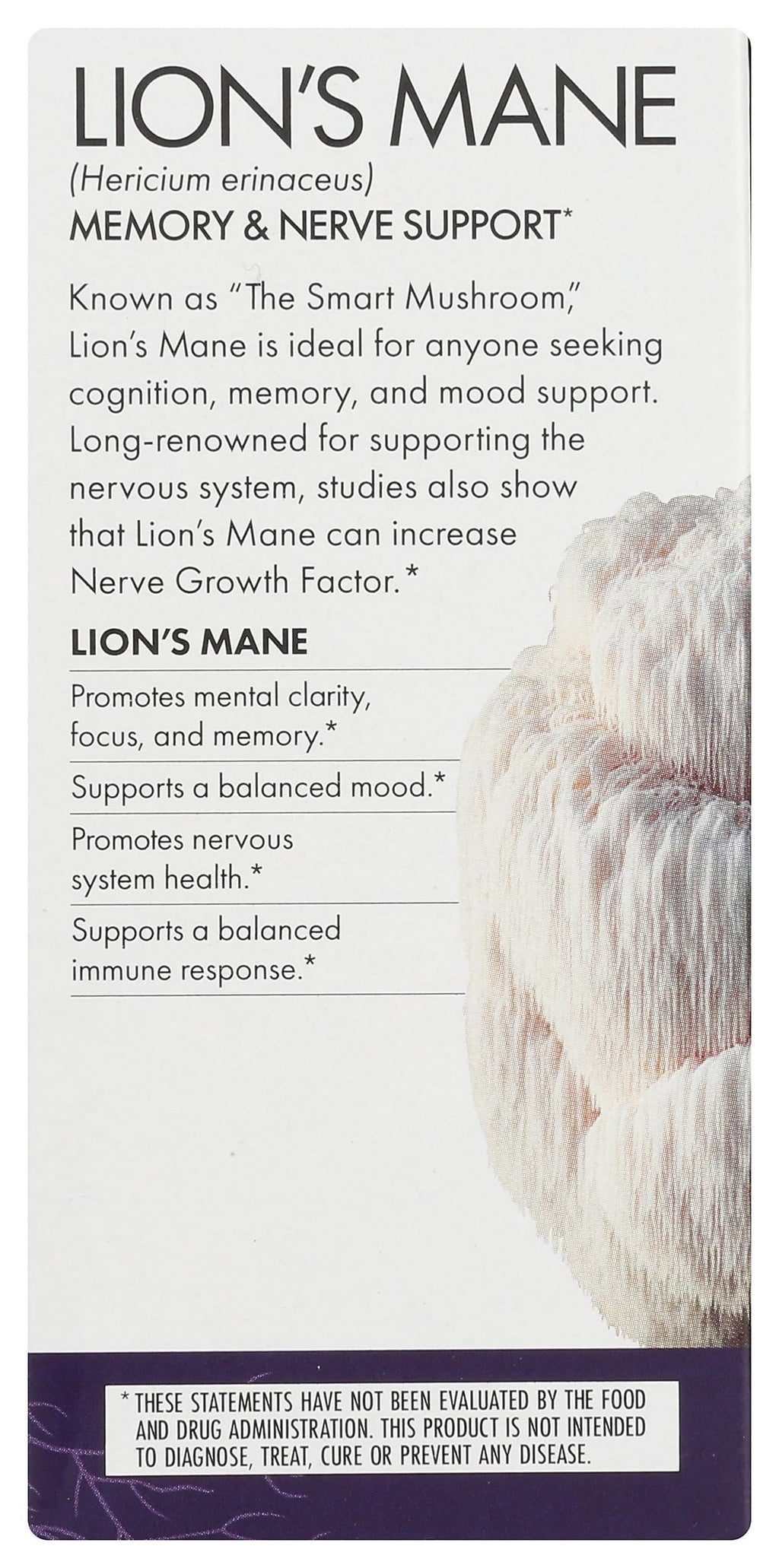 Natural mushroom supplement for focus