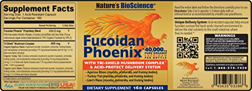 natural mushroom supplement for immunity