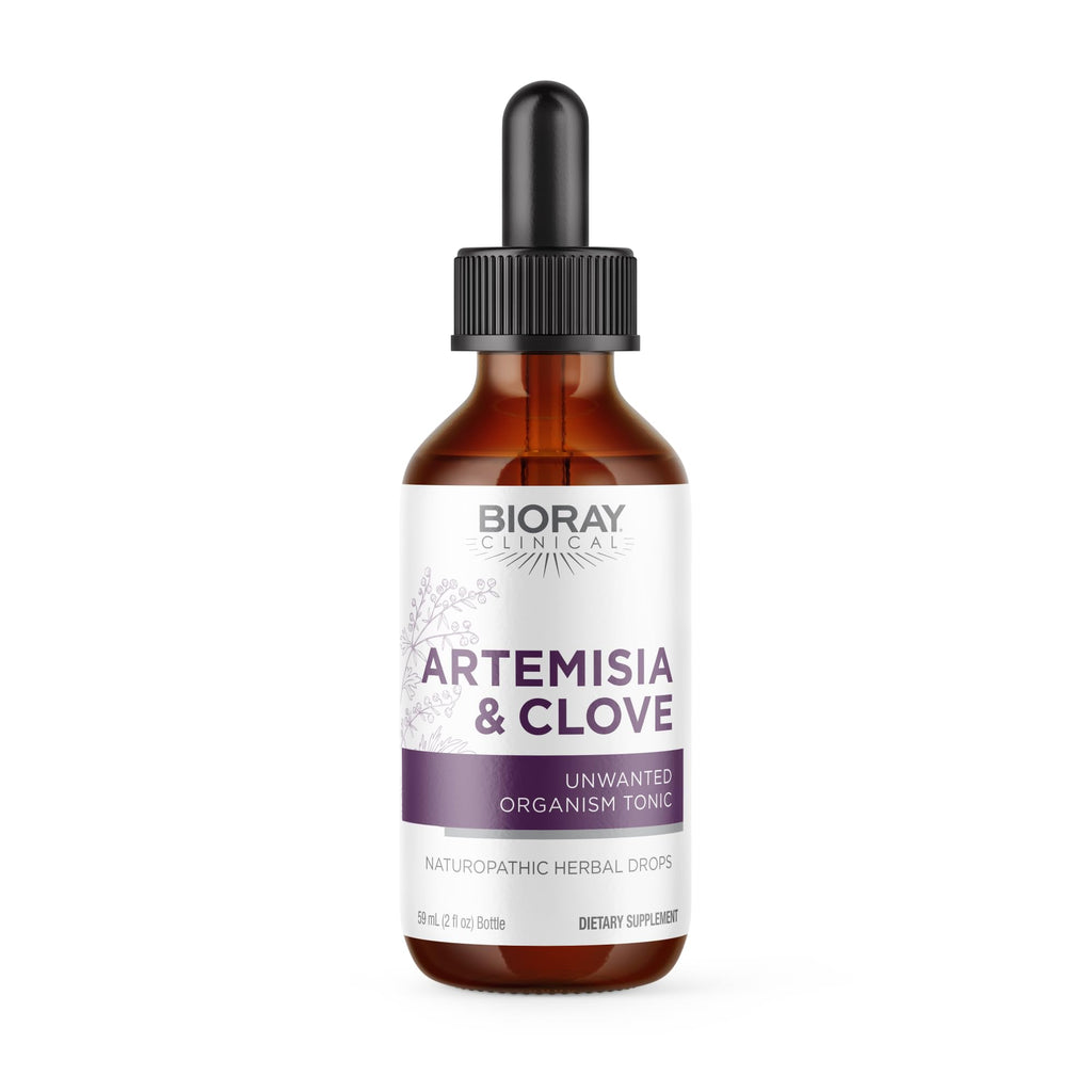 natural mushroom supplement for wellness
