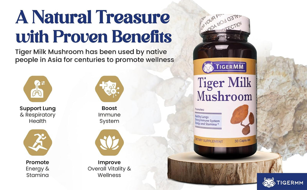 natural mushroom supplement for wellness