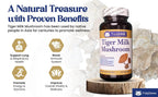 natural mushroom supplement for wellness