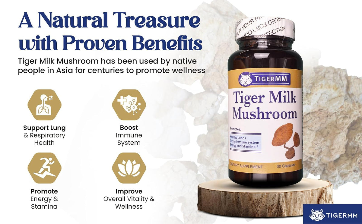 natural mushroom supplement for wellness