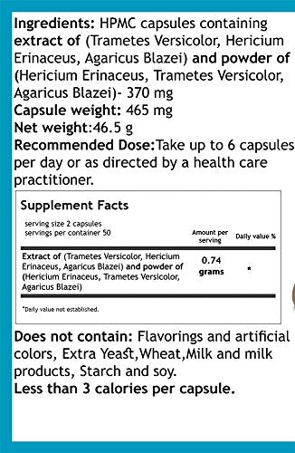 natural mushroom supplement for wellness