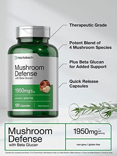 Natural mushroom supplement for wellness
