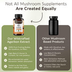 natural mushroom supplement for wellness