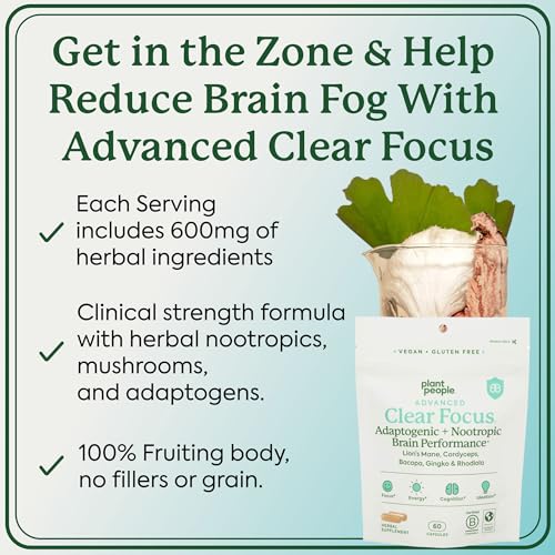 natural mushrooms for better concentration