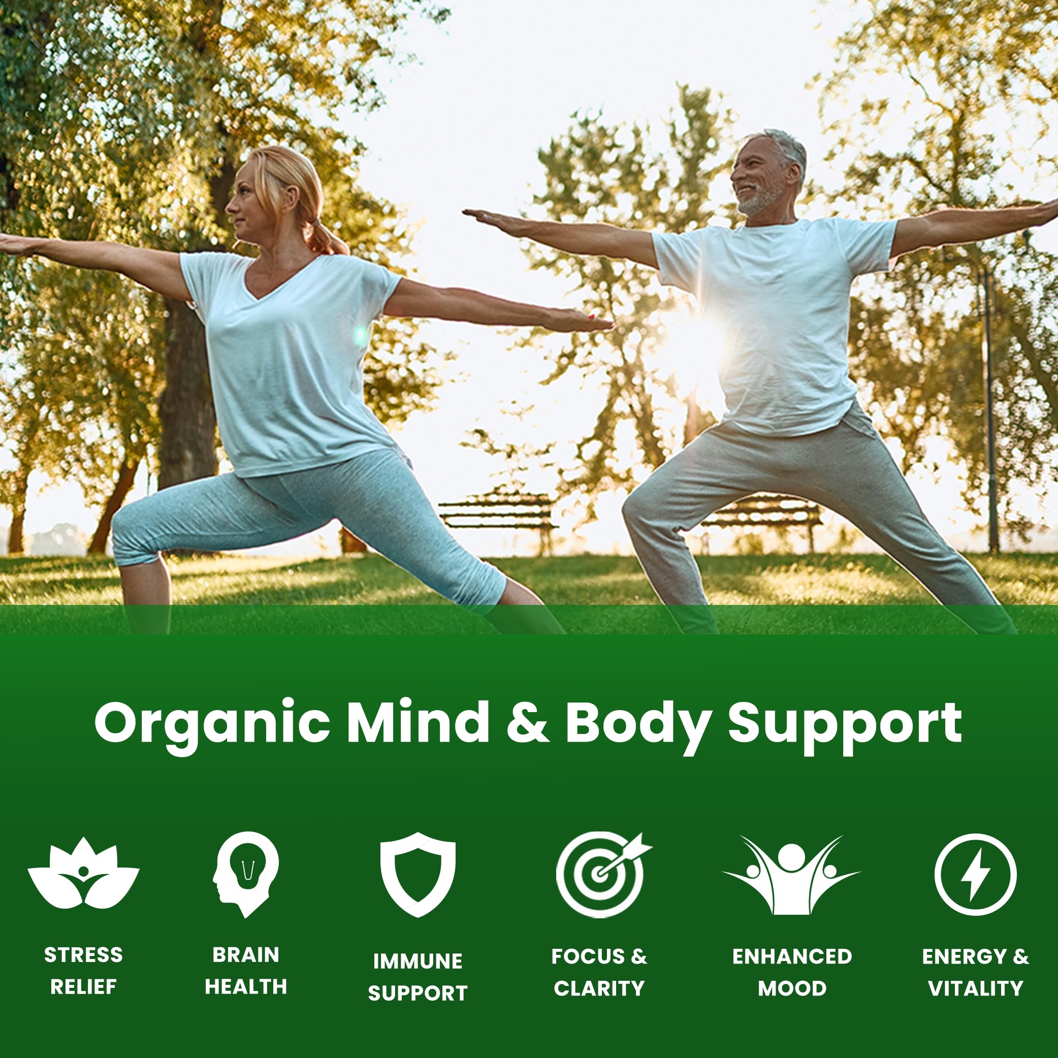 Natural mushrooms for cognitive health