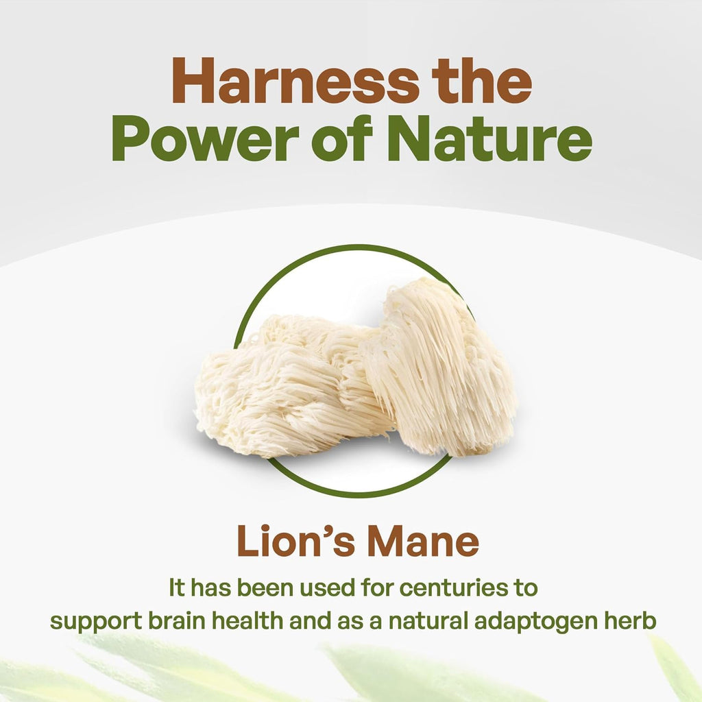 natural mushrooms for cognitive health