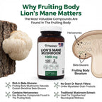natural mushrooms for cognitive support