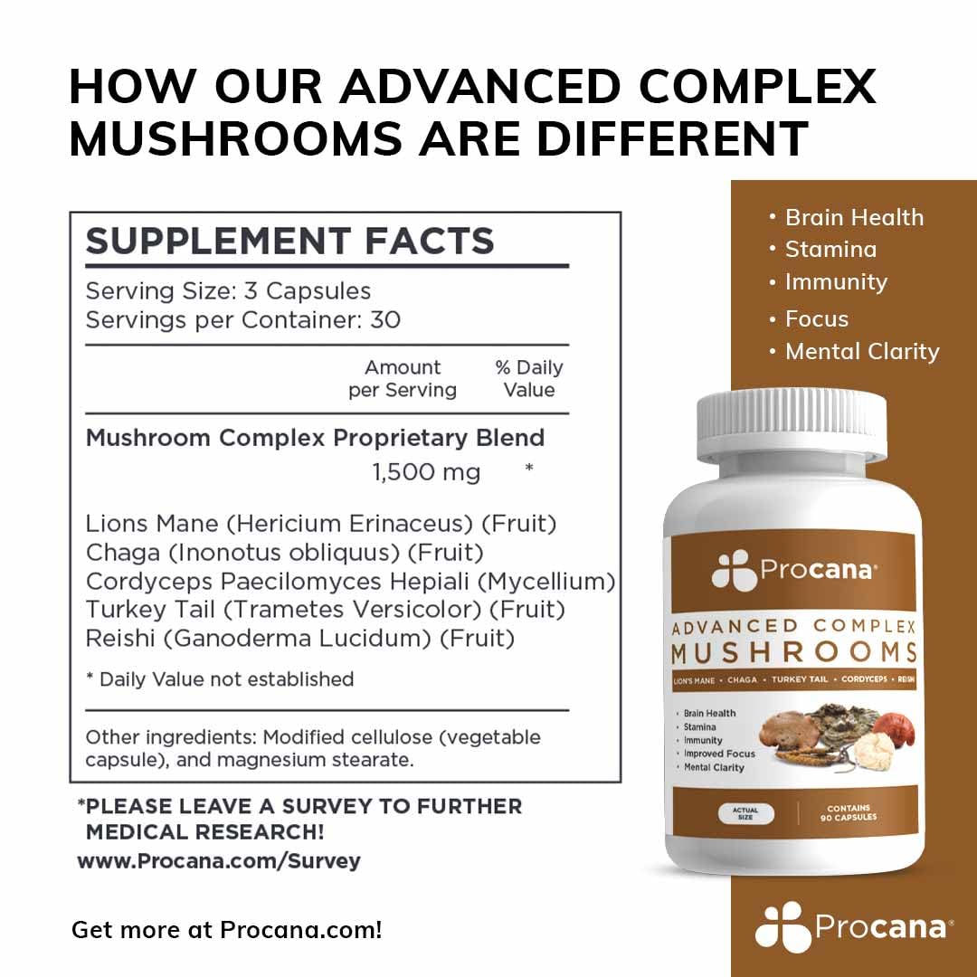 Natural mushrooms for cognitive support