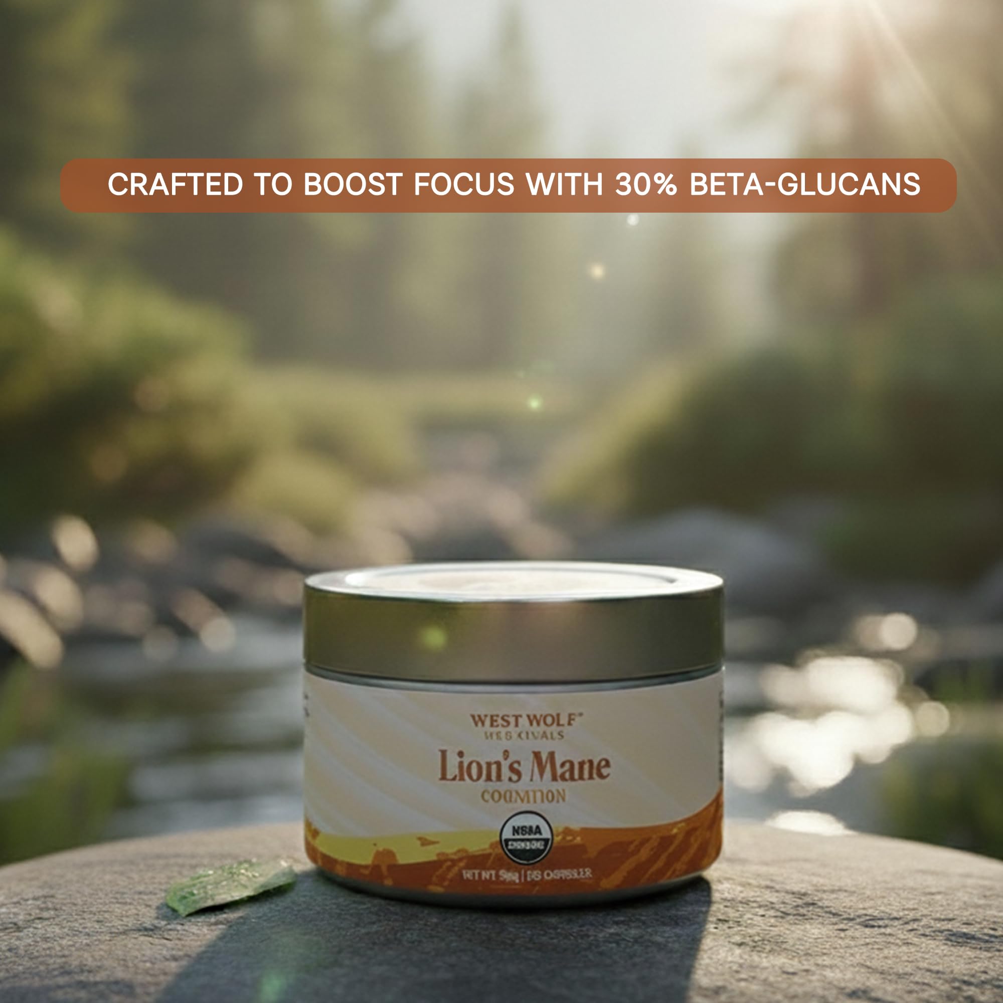 natural mushrooms for cognitive support