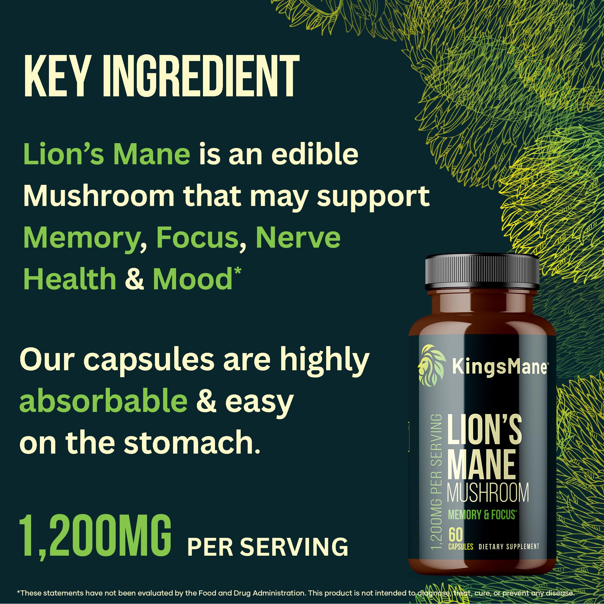 natural mushrooms for cognitive support