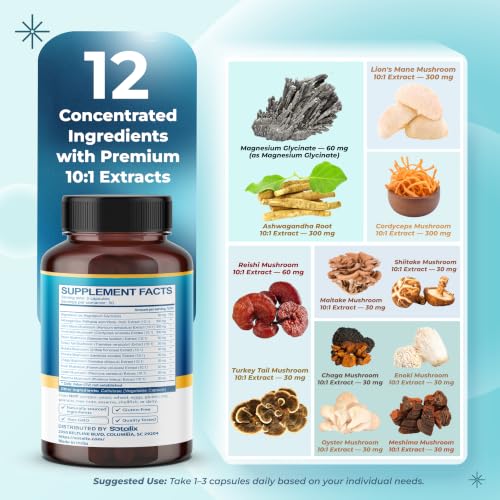 Natural mushrooms for cortisol balance