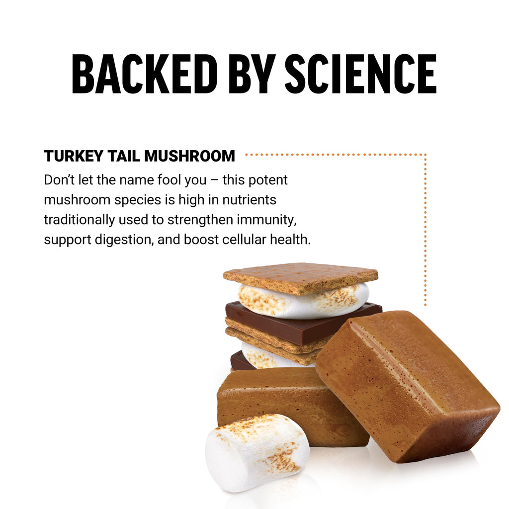 Natural mushrooms for digestive wellness