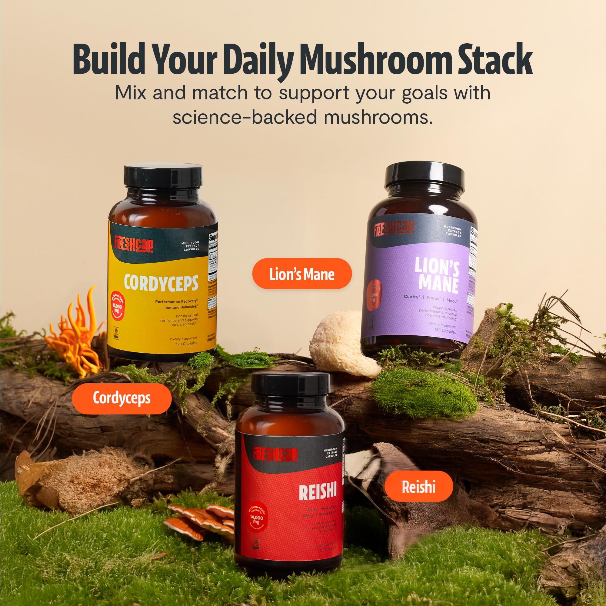 natural mushrooms for energy