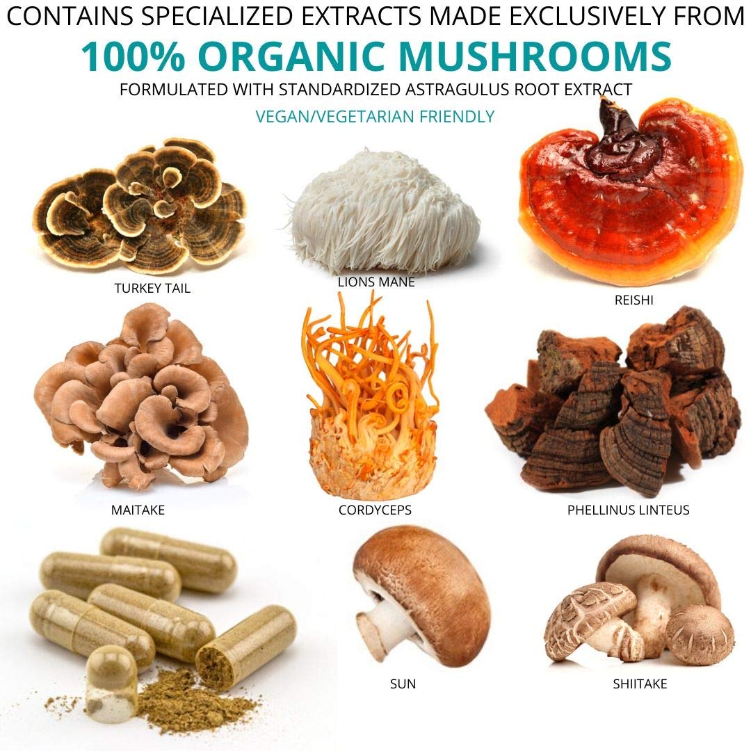 natural mushrooms for enhanced immunity