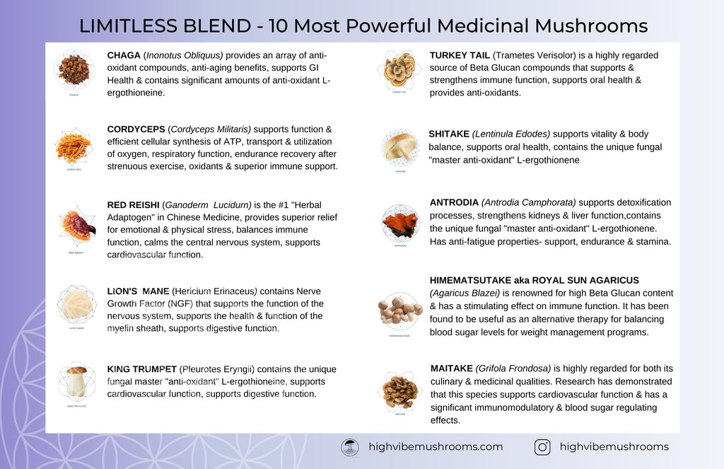 natural mushrooms for enhanced vitality