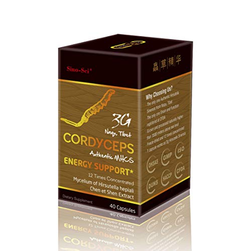 natural mushrooms for immunity boost