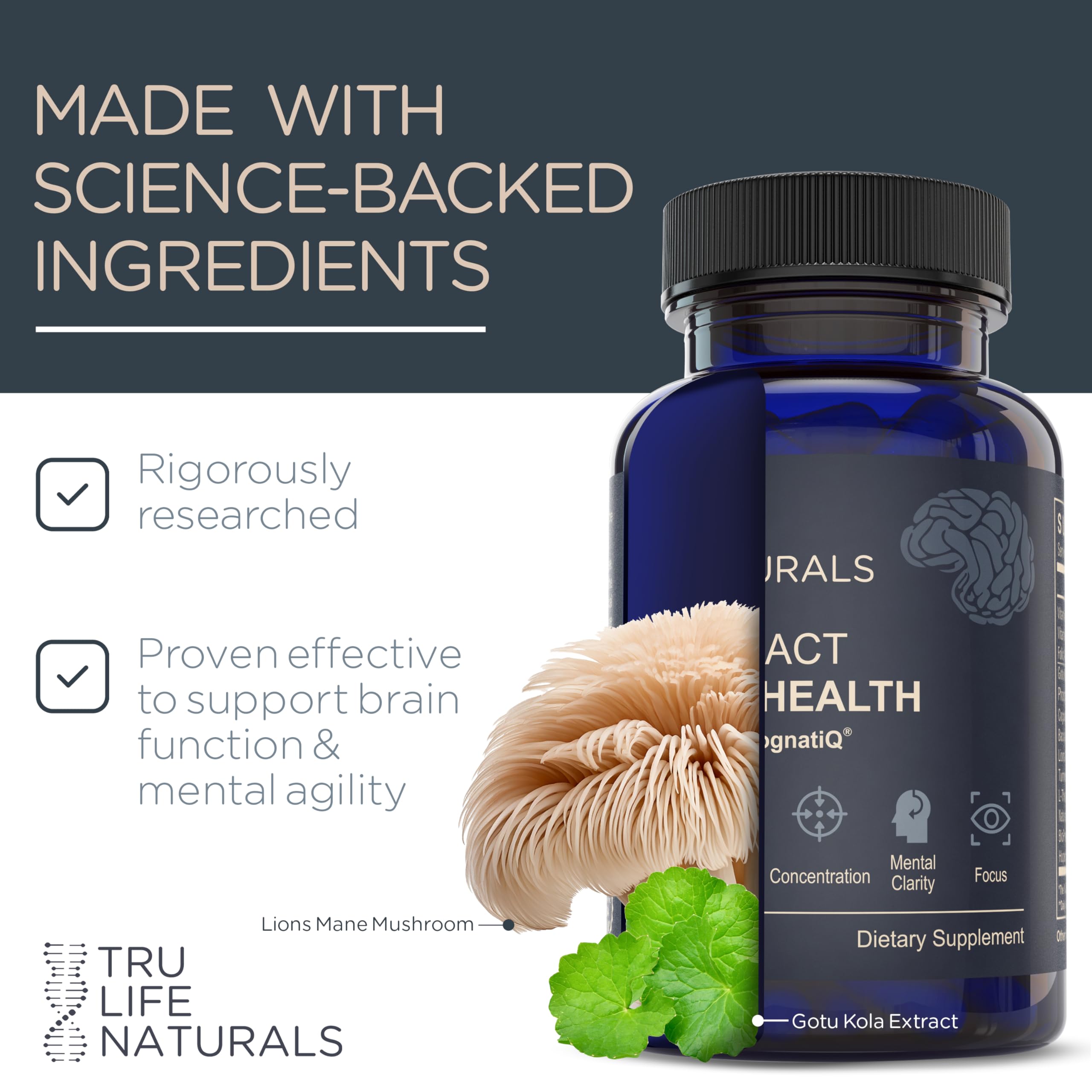 natural mushrooms for improved focus
