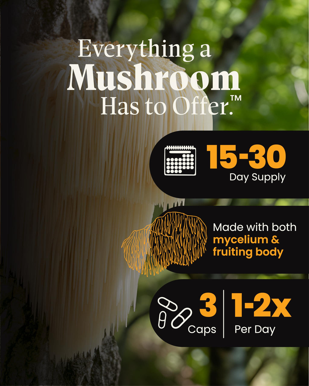 natural mushrooms for mental clarity