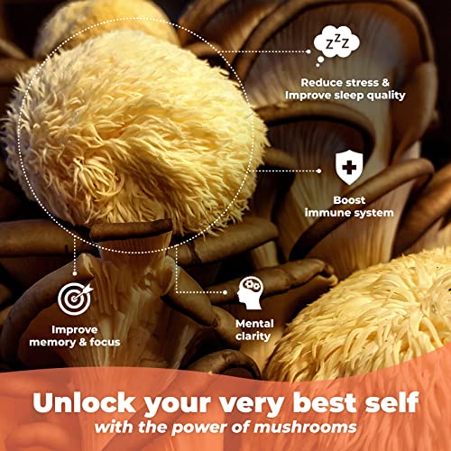 Natural mushrooms for mental clarity