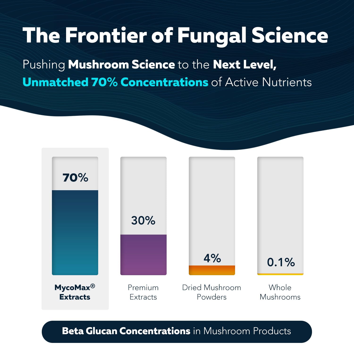 natural mushrooms for vitality