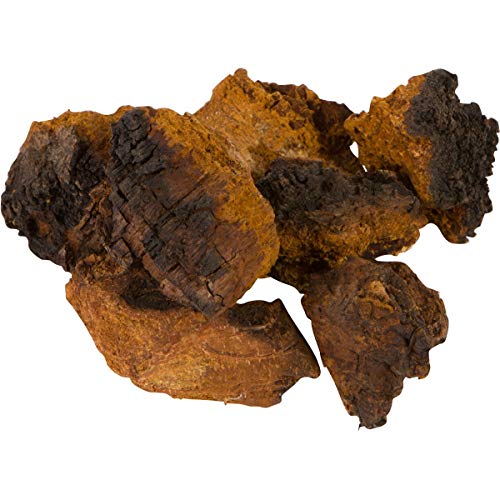 natural mushrooms for wellness benefits