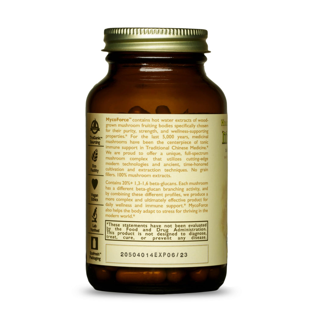 natural mushrooms for wellness support